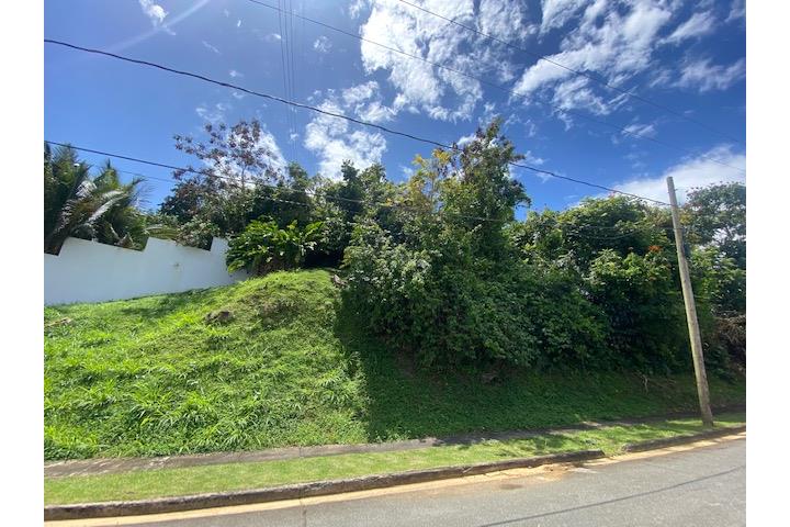 El Vigia Puerto Rico, Venta Bienes Raíces San Juan - Río Piedras Puerto ...