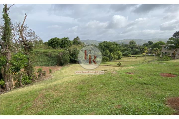 Paloma Puerto Rico, Venta Bienes Raíces Comerío Puerto Rico, Real ...