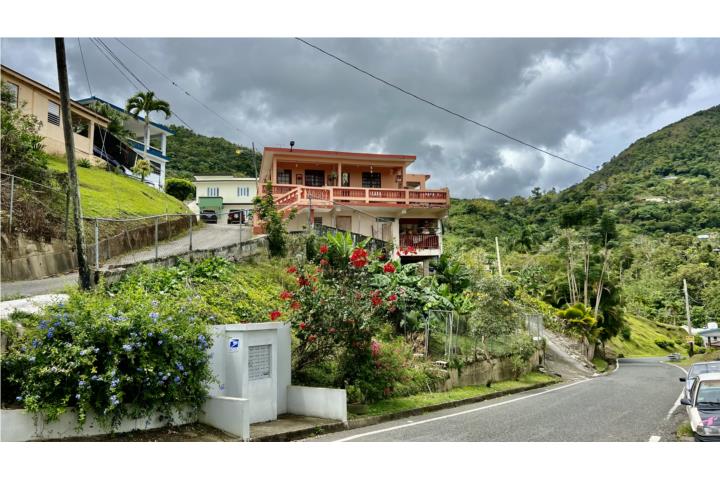 Saltillo Puerto Rico, Venta Bienes Raíces Adjuntas Puerto Rico, Real ...