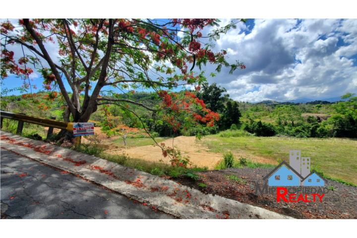 Barrio-Cacao, Carolina Puerto Rico