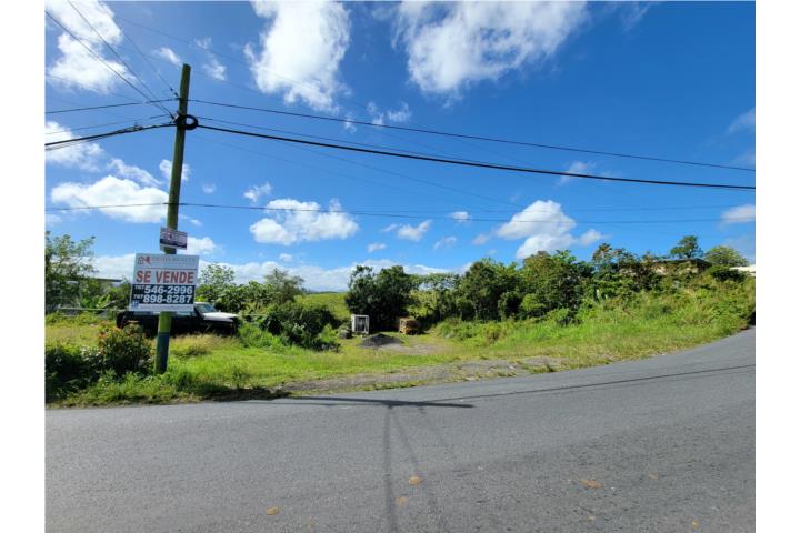 Quebrada Puerto Rico, Venta Bienes Raíces Camuy Puerto Rico, Real ...