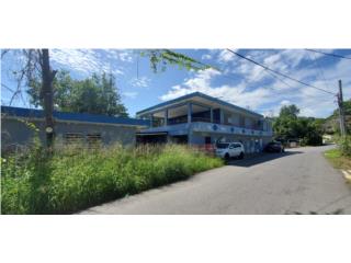 HQJ REAL ESTATE, LLC LIC. E-143 Puerto Rico, Bienes Raices HQJ REAL ...