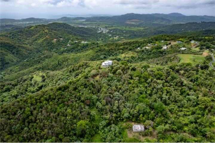 Pitahaya Puerto Rico, Venta Bienes Raíces Luquillo Puerto Rico, Real ...