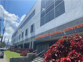 REALTY KINGS LLC... LIC. E-268 Puerto Rico, Bienes Raices REALTY KINGS ...