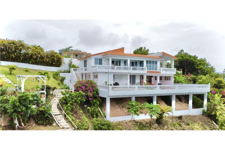 Coto Puerto Rico, Venta Bienes Raíces Isabela Puerto Rico, Real Estate ...