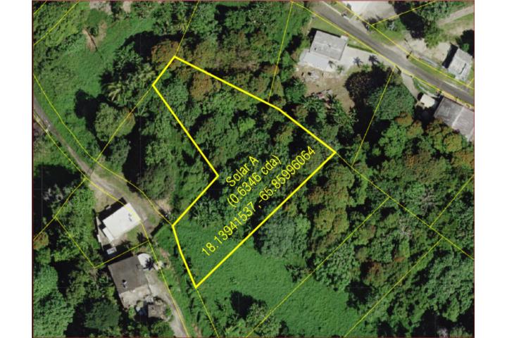 Tejas Puerto Rico, Venta Bienes Raíces Humacao Puerto Rico, Real Estate ...