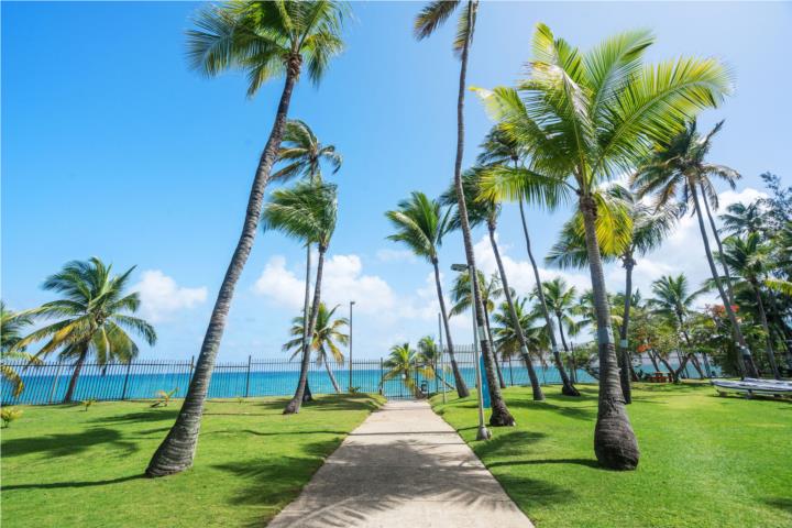 Park Boulevard Puerto Rico, Venta Bienes Raíces San Juan - Condado ...