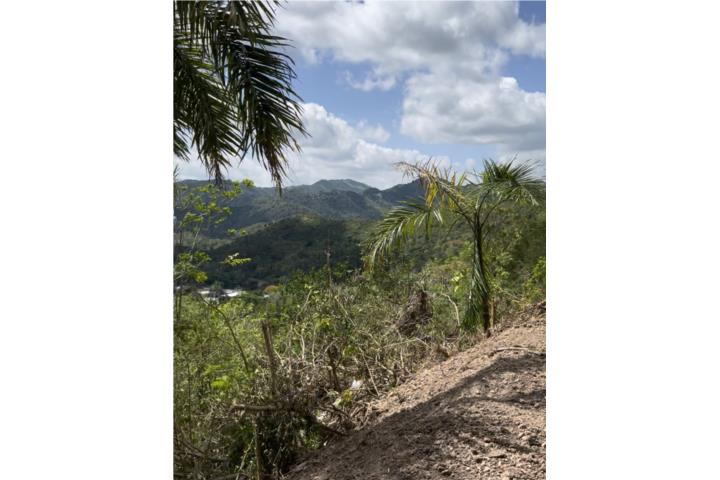 Rio Hondo Puerto Rico, Venta Bienes Raíces Comerío Puerto Rico, Real ...