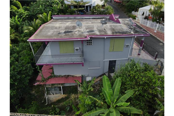 Naranjo Puerto Rico, Venta Bienes Raíces Moca Puerto Rico, Real Estate ...