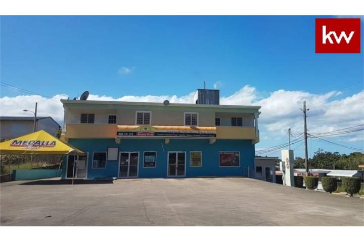 Morovis Norte Puerto Rico, Bienes Raices Morovis Norte Real Estate ...