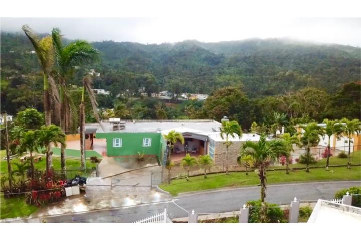 Guavate Puerto Rico, Venta Bienes Raíces Cayey Puerto Rico, Real Estate ...