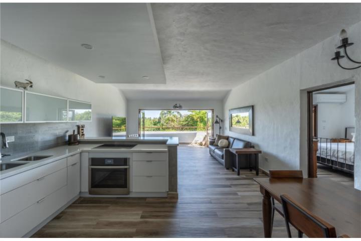 Rio Mar Cluster II (2) Puerto Rico, Venta Bienes Raíces Río Grande ...