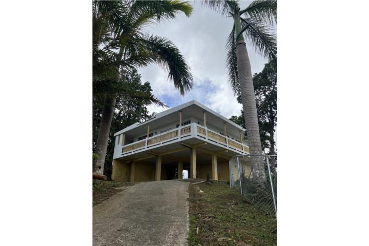 Guardarraya Puerto Rico, Venta Bienes Raíces Patillas Puerto Rico, Real ...