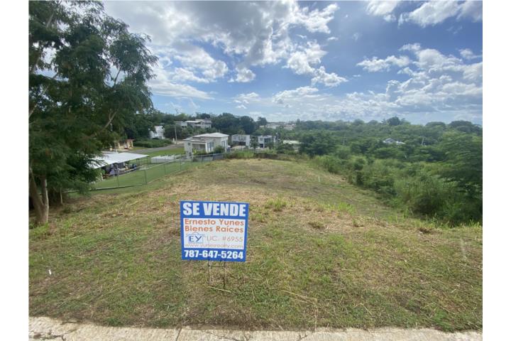 Costas De Joyuda Puerto Rico, Venta Bienes Raíces Cabo Rojo Puerto Rico ...