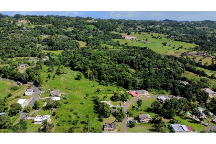 Robles Puerto Rico, Venta Bienes Raíces San Sebastián Puerto Rico, Real ...