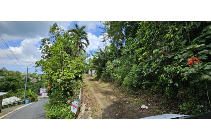 Nuevo Bayamon Puerto Rico, Venta Bienes Raíces Bayamón Puerto Rico, Real Estate for Sale