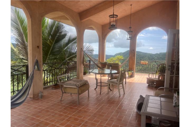 Robles Puerto Rico, Venta Bienes Raíces Aibonito Puerto Rico, Real ...