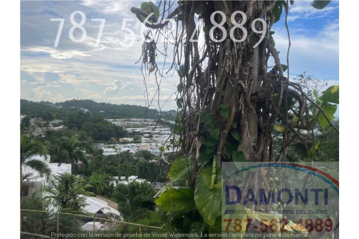 Caimito Alto Puerto Rico, Venta Bienes Raíces San Juan - Río Piedras ...