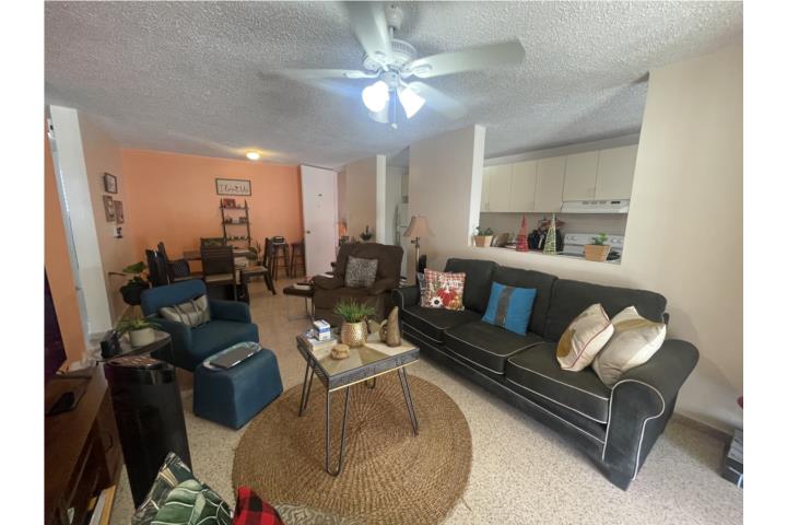 Riberas Del Rio Puerto Rico, Venta Bienes Raíces Bayamón Puerto Rico ...