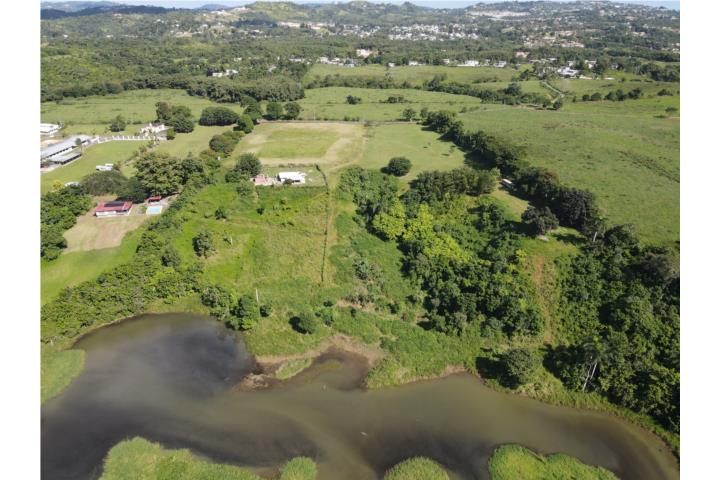 Bayamon Puerto Rico, Venta Bienes Raíces Cidra Puerto Rico, Real Estate ...