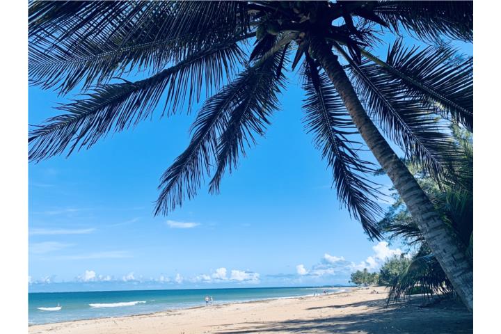 Continental Beach Resort Puerto Rico, Venta Bienes Raíces Río Grande ...