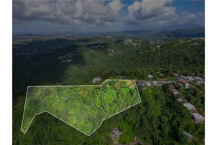 Caimito Alto Puerto Rico, Venta Bienes Raíces San Juan - Río Piedras ...