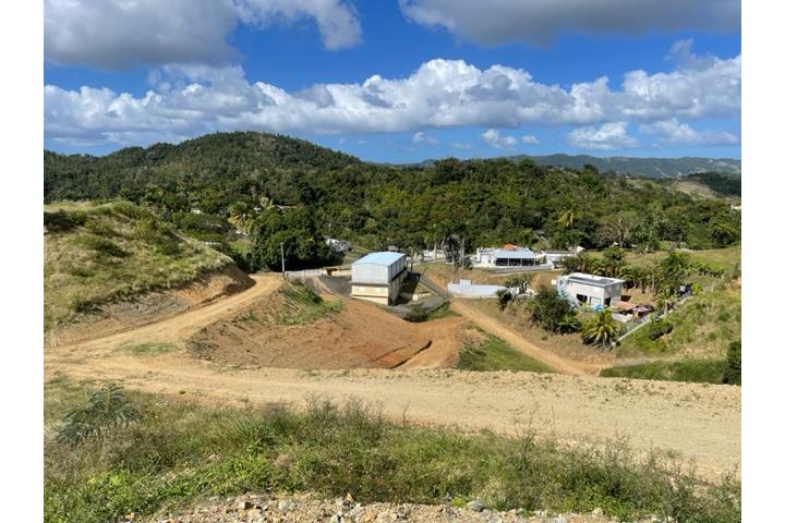 Quebrada Puerto Rico, Venta Bienes Raíces San Lorenzo Puerto Rico, Real ...
