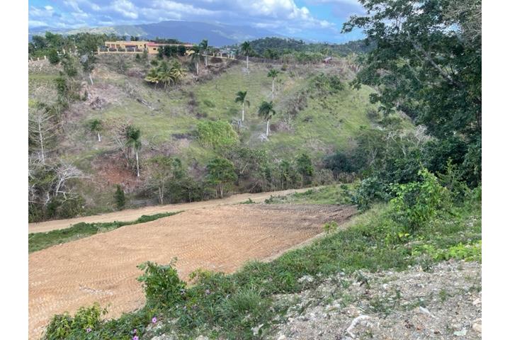 Quebrada Puerto Rico, Venta Bienes Raíces San Lorenzo Puerto Rico, Real ...