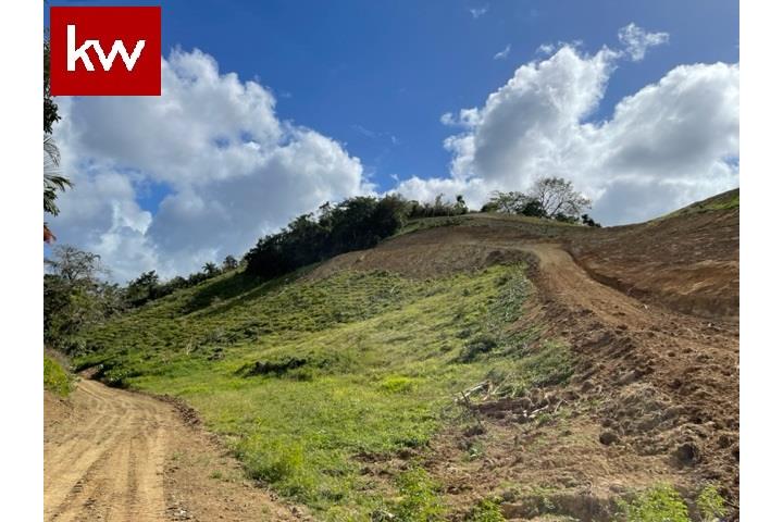 Quebrada Puerto Rico, Venta Bienes Raíces San Lorenzo Puerto Rico, Real ...