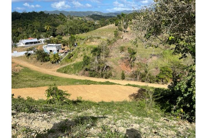 Quebrada Puerto Rico, Venta Bienes Raíces San Lorenzo Puerto Rico, Real ...