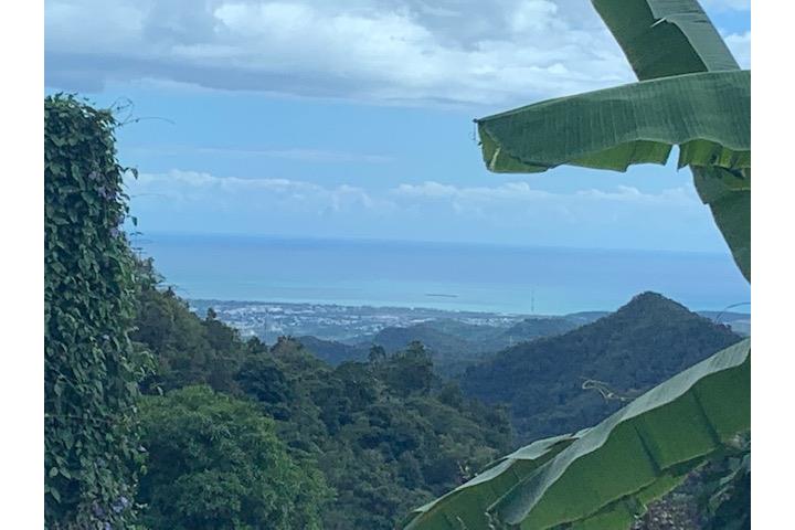 Guaraguao Puerto Rico, Venta Bienes Raíces Ponce Puerto Rico, Real ...
