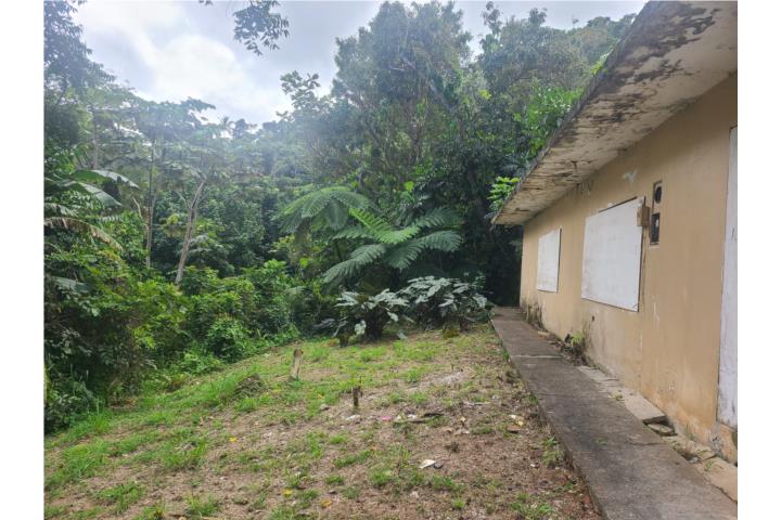 Santa Olaya Puerto Rico, Venta Bienes Raíces Bayamón Puerto Rico, Real ...