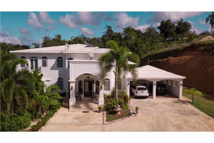 Pueblo Puerto Rico, Venta Bienes Raíces Moca Puerto Rico, Real Estate ...