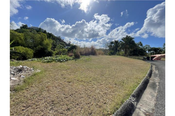 Quintas De Santa Maria Puerto Rico, Venta Bienes Raíces Mayagüez Puerto ...