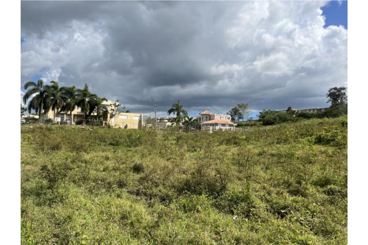 Miradero Puerto Rico, Venta Bienes Raíces Cabo Rojo Puerto Rico, Real ...