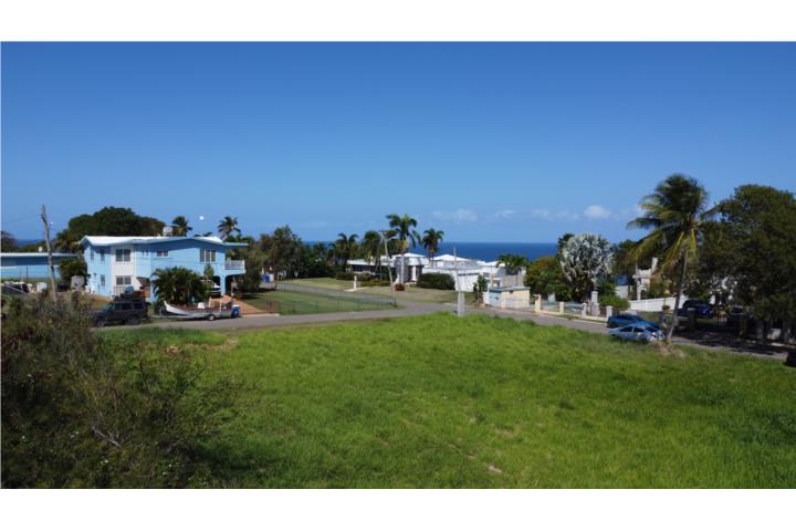 Maleza Alta Puerto Rico, Venta Bienes Raíces Aguadilla Puerto Rico ...