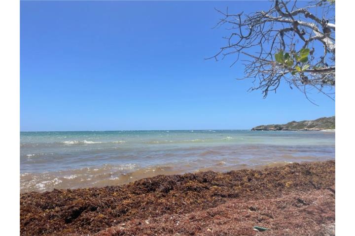 Playa Santa Puerto Rico, Venta Bienes Raíces Guánica Puerto Rico, Real ...