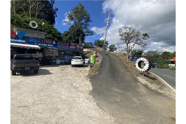 Padilla Puerto Rico, Bienes Raices Padilla Real Estate Corozal Puerto Rico