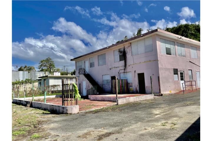 Morovis Norte Puerto Rico, Venta Bienes Raíces Morovis Puerto Rico ...