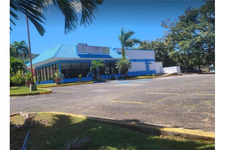 Pueblo de Rio Piedras Puerto Rico, Venta Bienes Raíces San Juan - Río ...