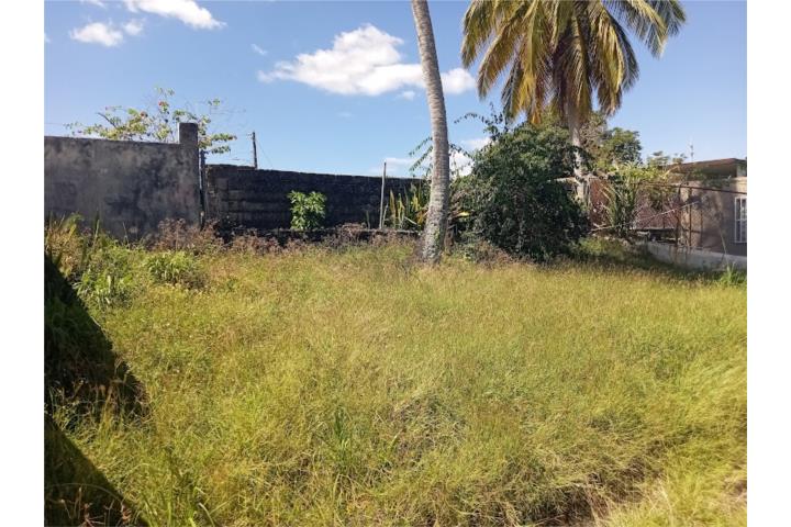 Rio Grande Estates Puerto Rico, Venta Bienes Raíces Río Grande Puerto ...