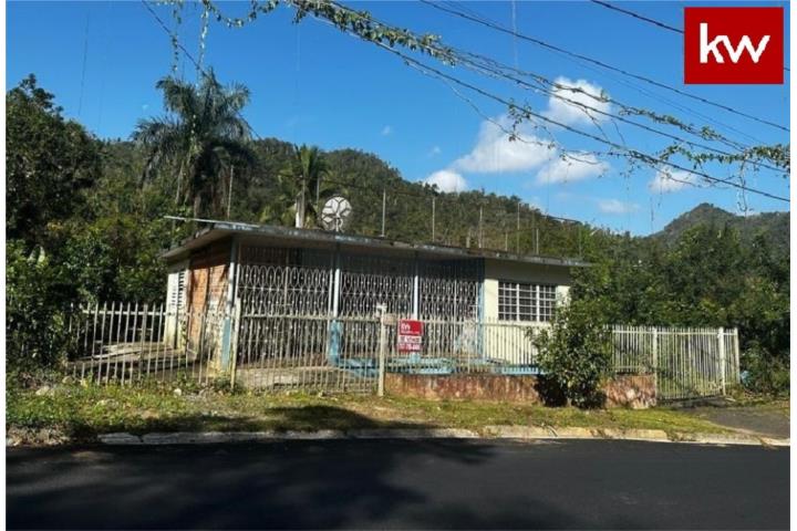 Naranjo Puerto Rico, Venta Bienes Raíces Comerío Puerto Rico, Real ...