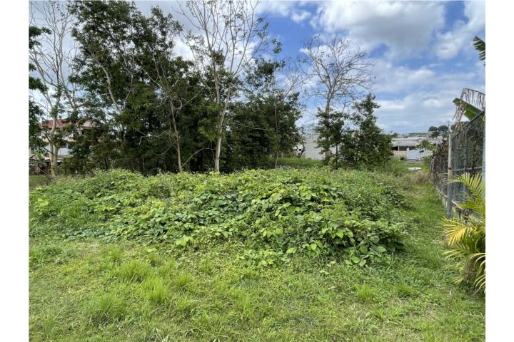 Ramirez Puerto Rico, Venta Bienes Raíces Cabo Rojo Puerto Rico, Real ...