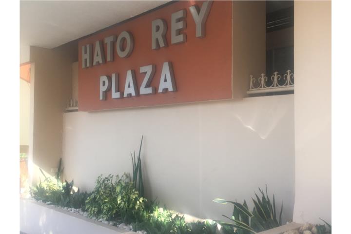 Hato Rey Plaza Puerto Rico, Venta Bienes Raíces San Juan - Hato Rey ...