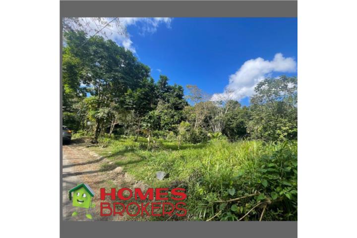 Santa Olaya Puerto Rico, Venta Bienes Raíces Bayamón Puerto Rico, Real ...