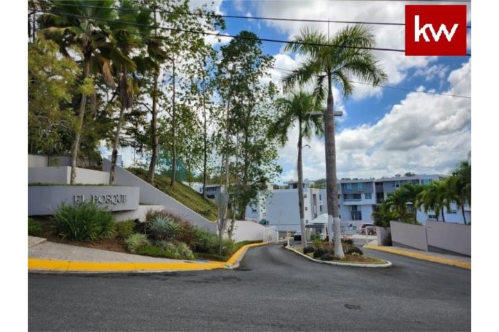 El Bosque Puerto Rico, Venta Bienes Raíces Guaynabo Puerto Rico, Real ...