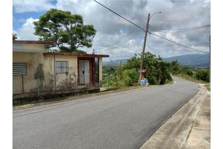 Tejas Puerto Rico, Venta Bienes Raíces Humacao Puerto Rico, Real Estate ...
