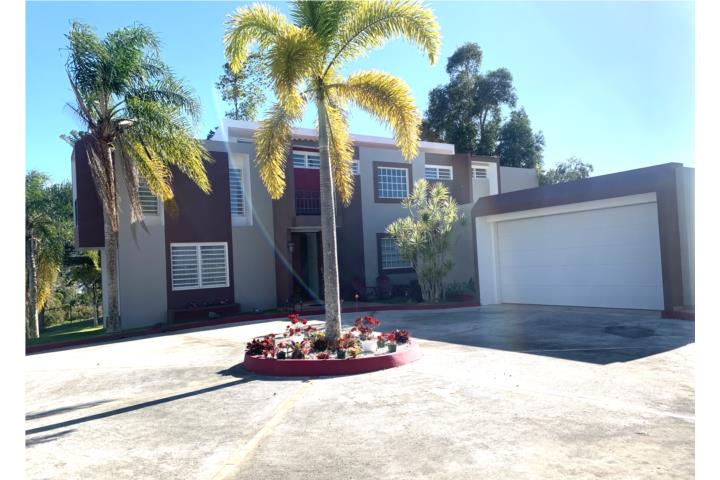 Robles Puerto Rico, Venta Bienes Raíces Aibonito Puerto Rico, Real ...