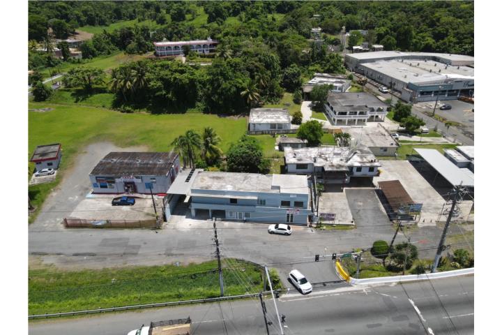 Palmer Puerto Rico, Venta Bienes Raíces Río Grande Puerto Rico, Real ...