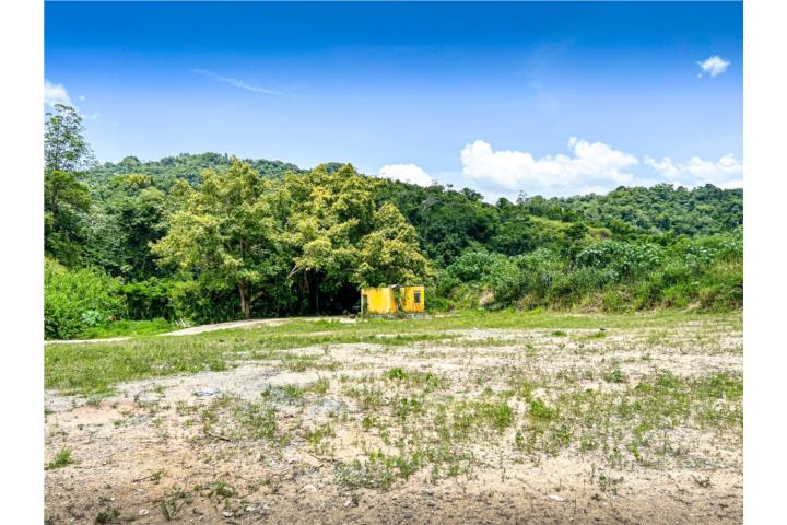 Vivi Abajo Puerto Rico, Venta Bienes Raíces Utuado Puerto Rico, Real ...